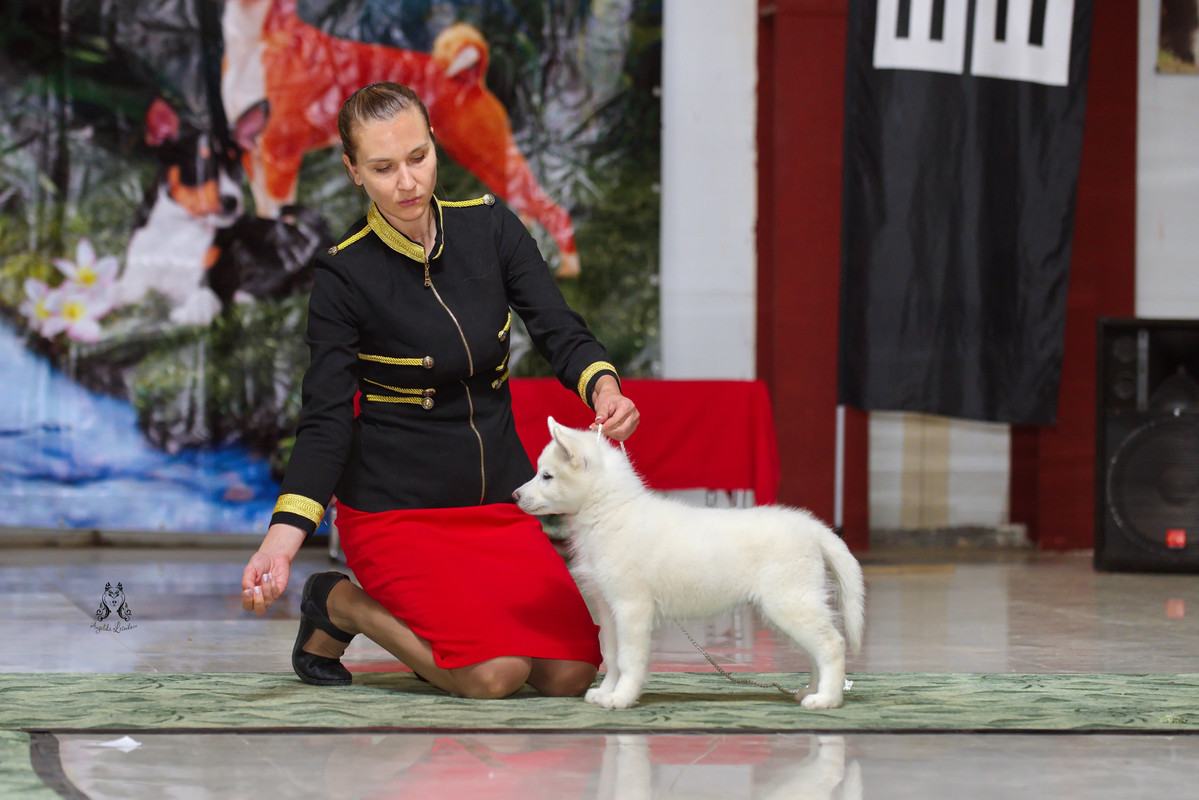 DSC 1696 — Postimages