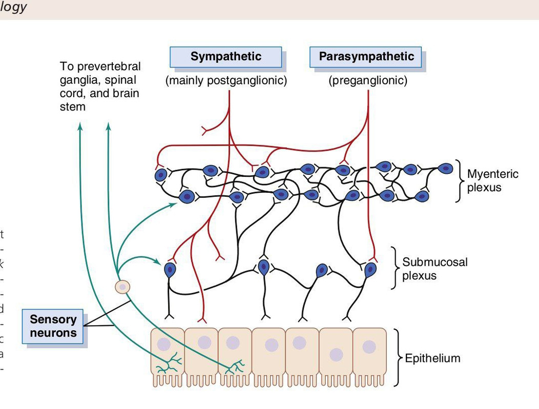 IMG 20241105 203905 863 — Postimages