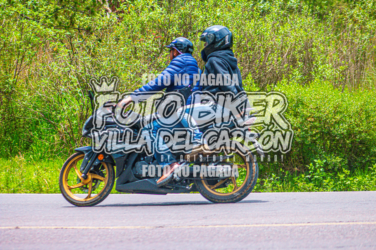 cvp4 31 — Postimages