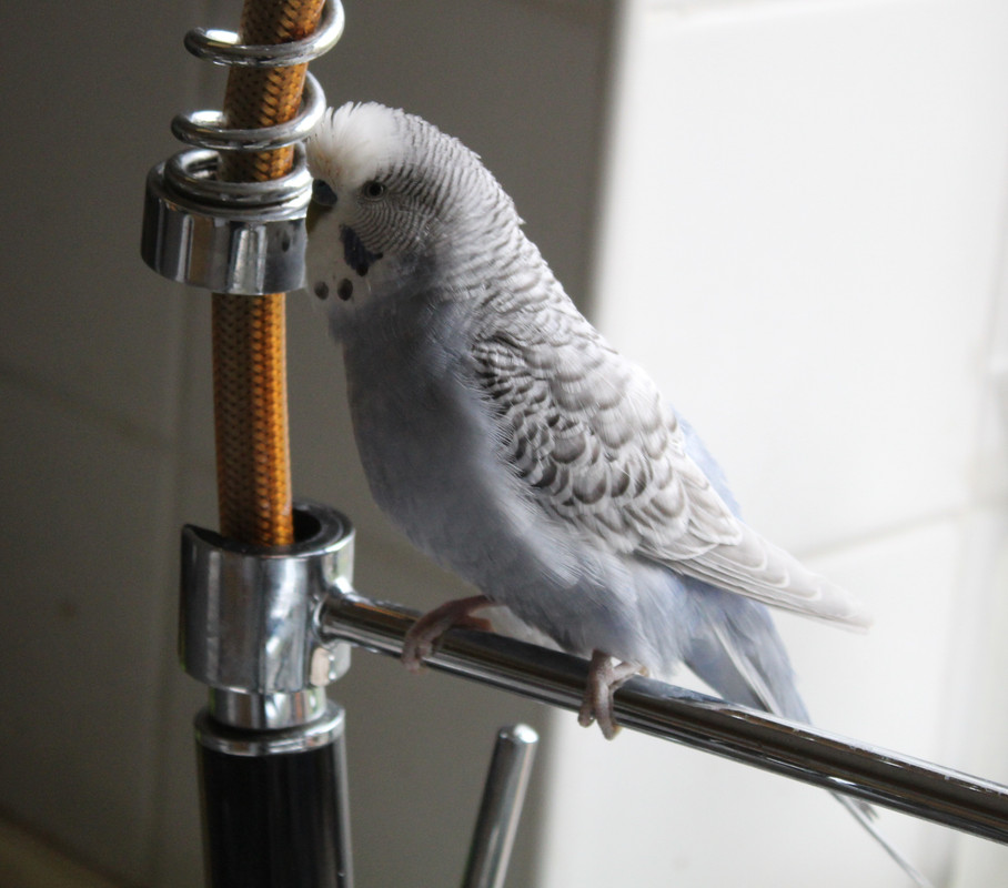 20240120154148 IMG 2639 — Postimages