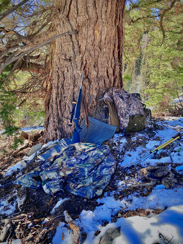 IMG 0119 — Postimages