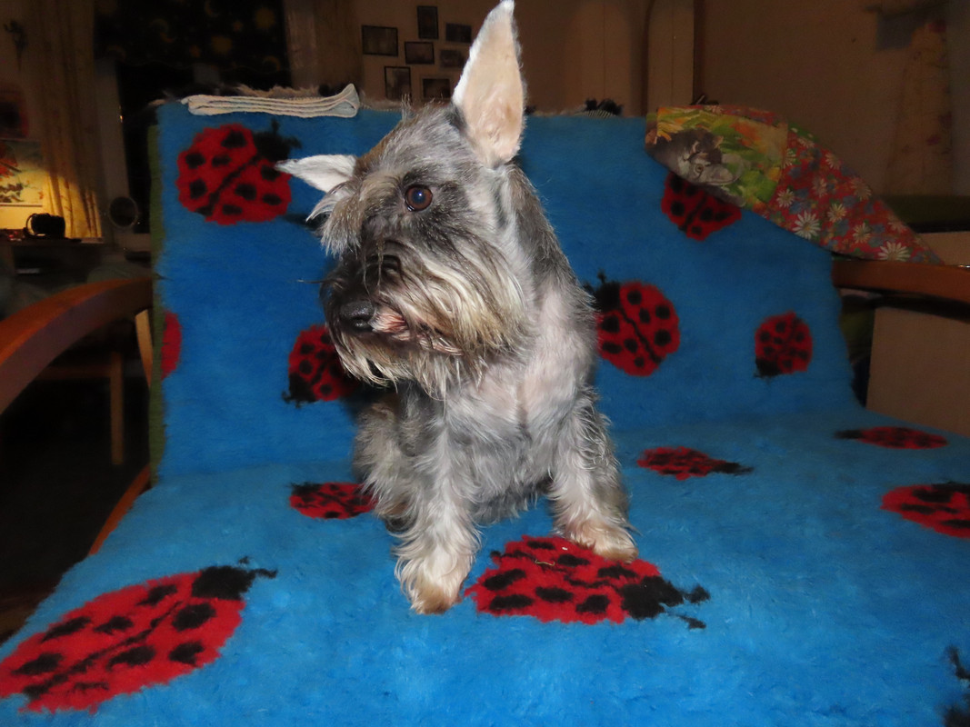 IMG 0798 — Postimages