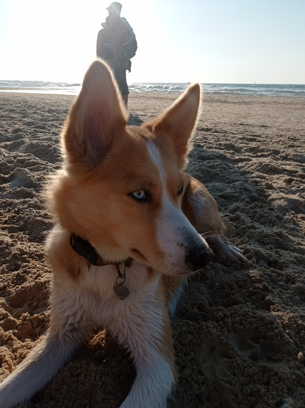 IMG 20221119 151205 — Postimages