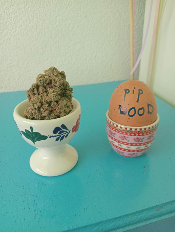 pip doos paasei — Postimages