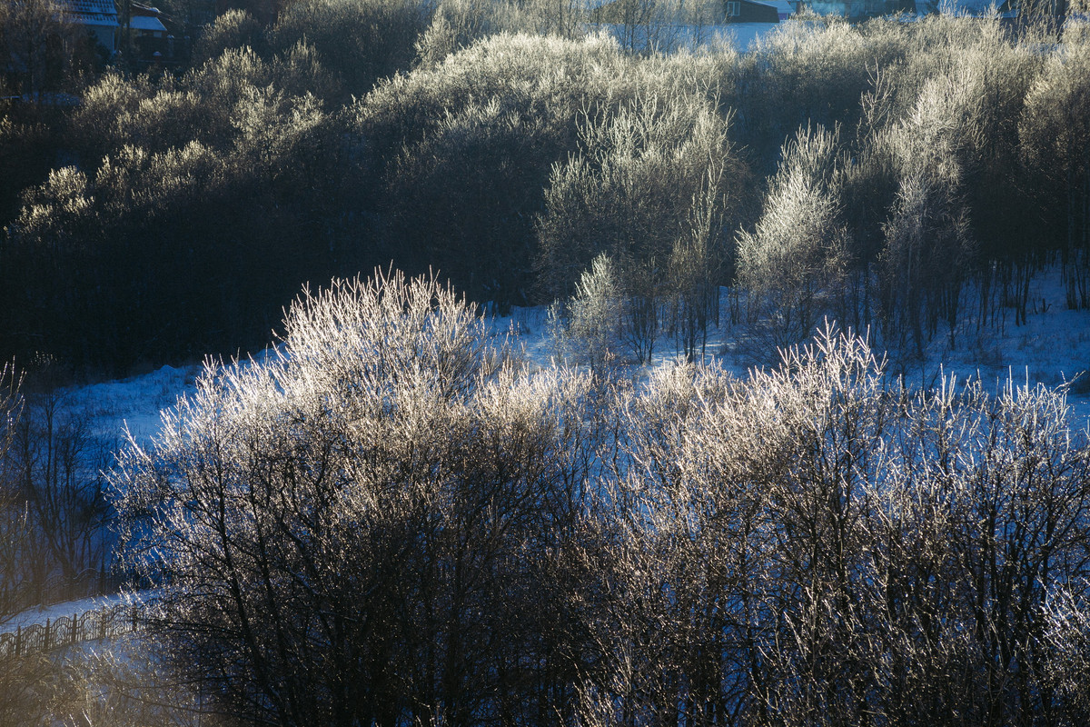 0057 2022 11 30 1 Ds m3 DMR 0101 — Postimages