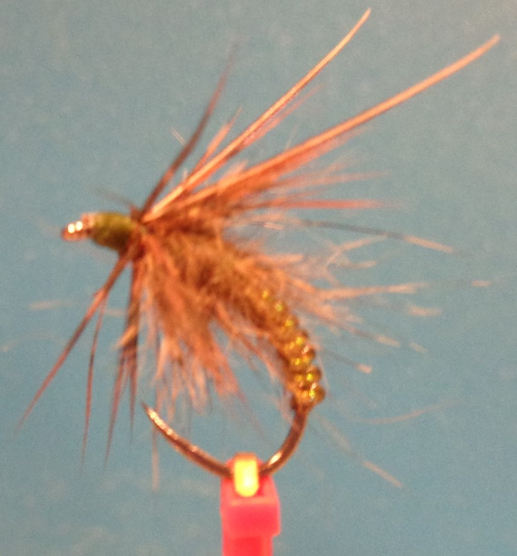 DSC02560 — Postimages