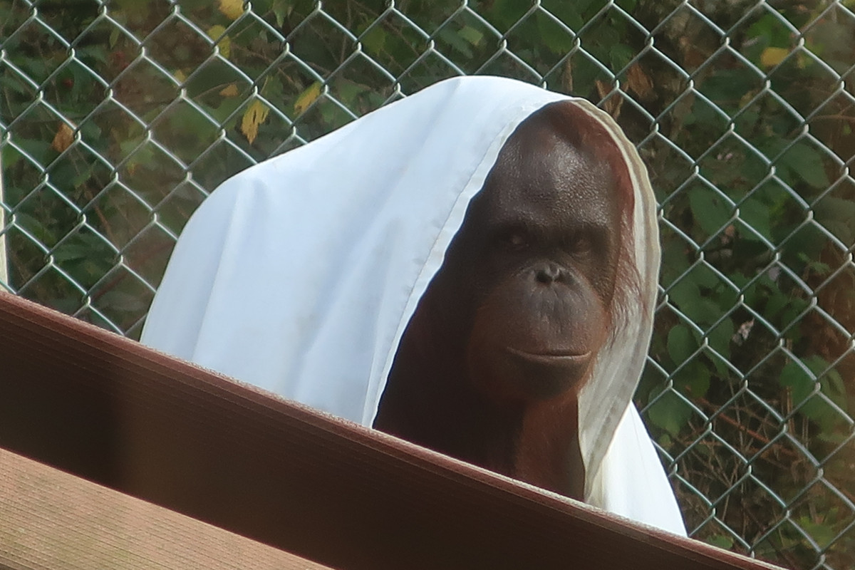 IMG 2452 — Postimages