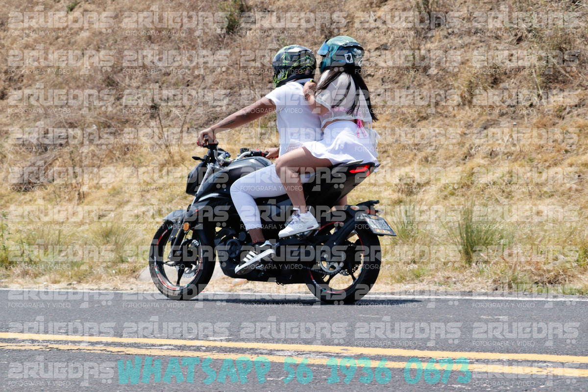 MG 1162 — Postimages