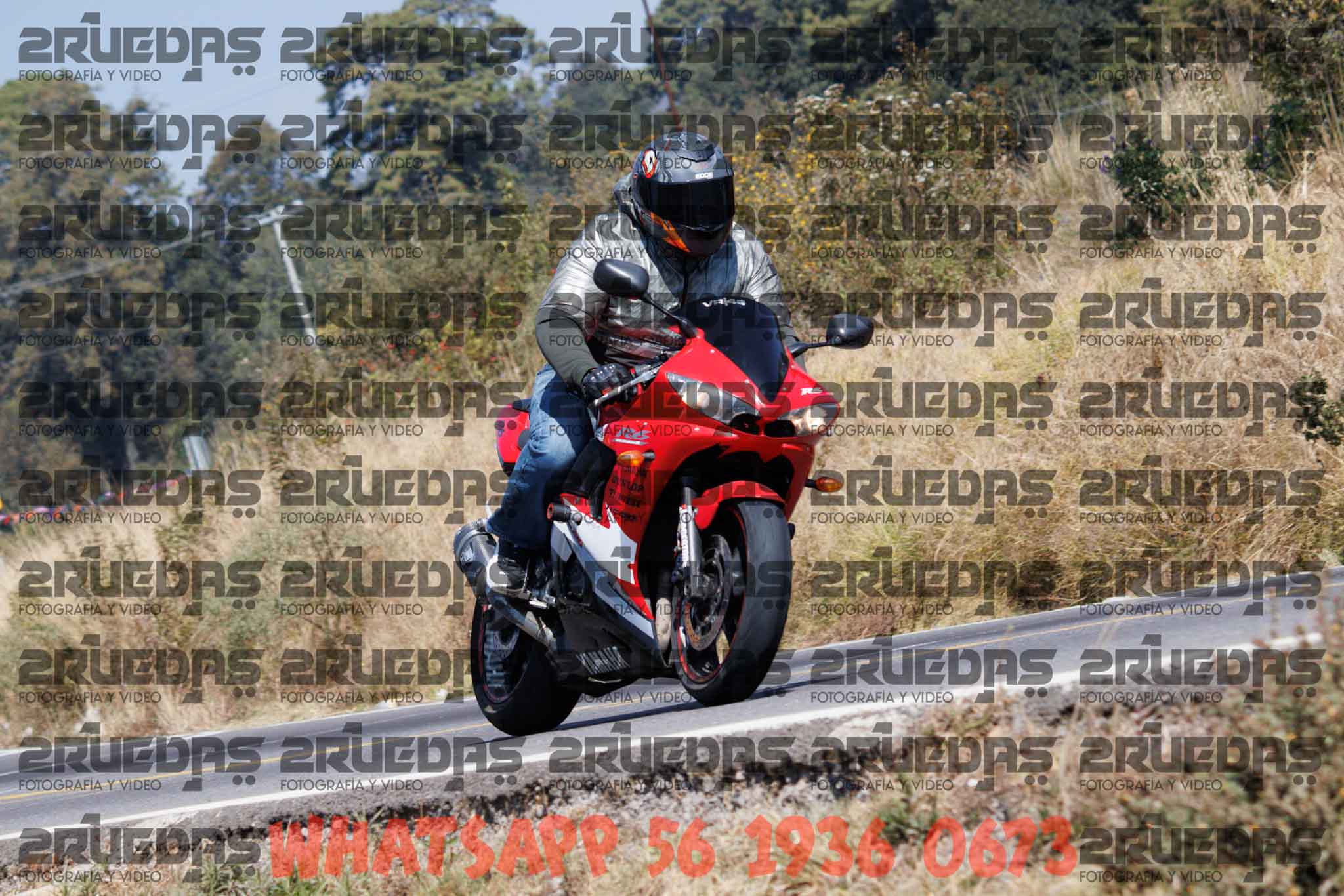 MG 8991 — Postimages