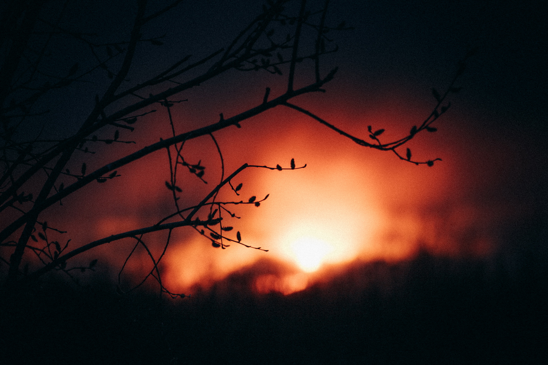 0101 2020 04 27 IMG 1006 — Postimages