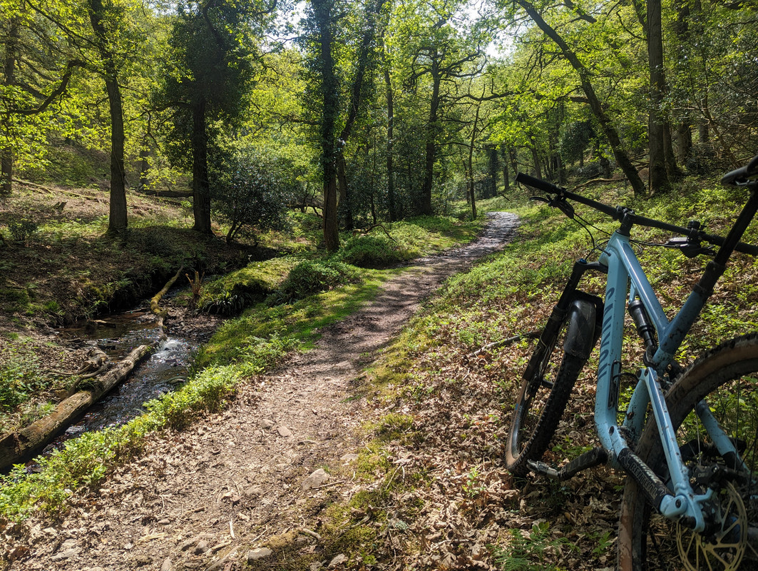 PXL 20240511 113153019 — Postimages