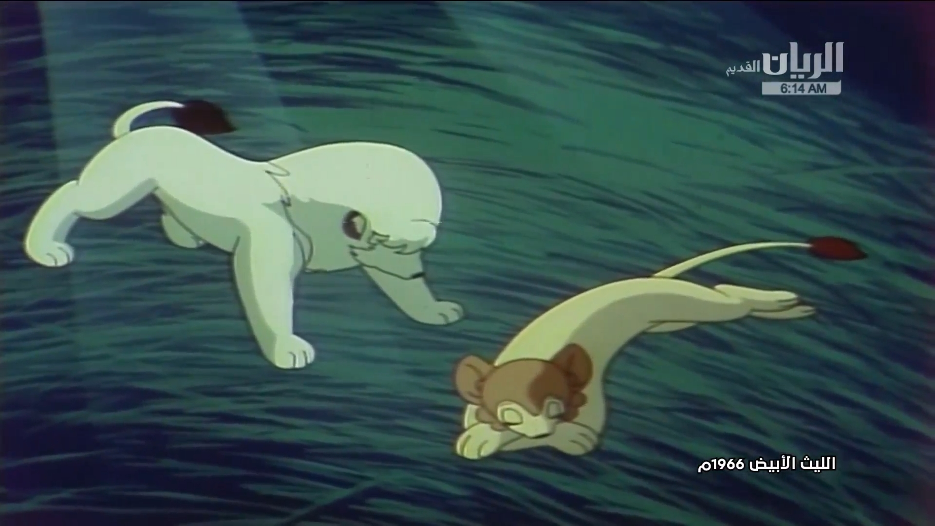 Kimba The White Lion S02 E04 1080p HDTV AVC 8bit AAC 2 0 Arabic Dub ...