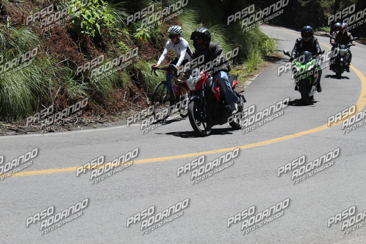 IMG 8130 wm 9267944 399999999 watermarked — Postimages