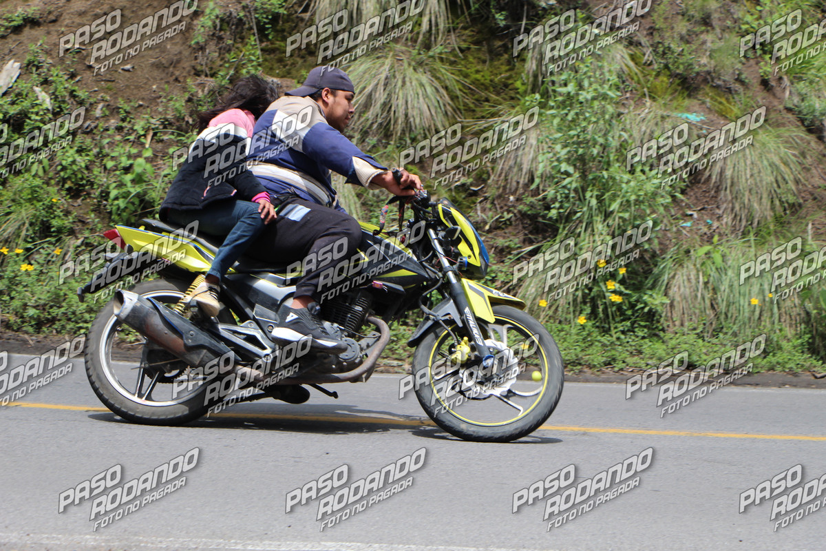 IMG 4441 wm 4964978 8 watermarked — Postimages