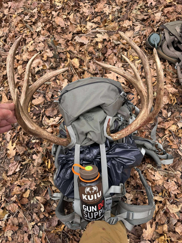 🦌🦌earlybrds annual deer thread🦌🦌 - 24hourcampfire