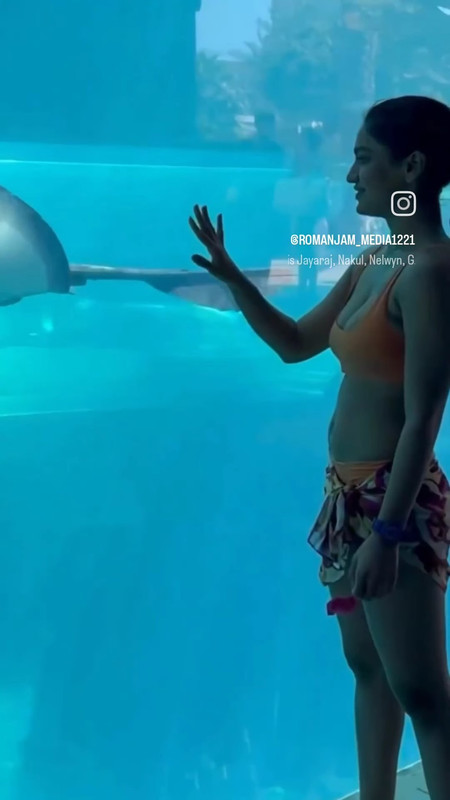 Saniya iyer hot in bikini mp4 snapshot 00 08 615 — Postimages