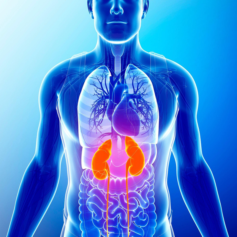 Nephrology – infiniticlinical.com