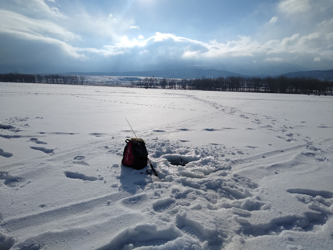 Chatfiel 1 28 23 — Postimages