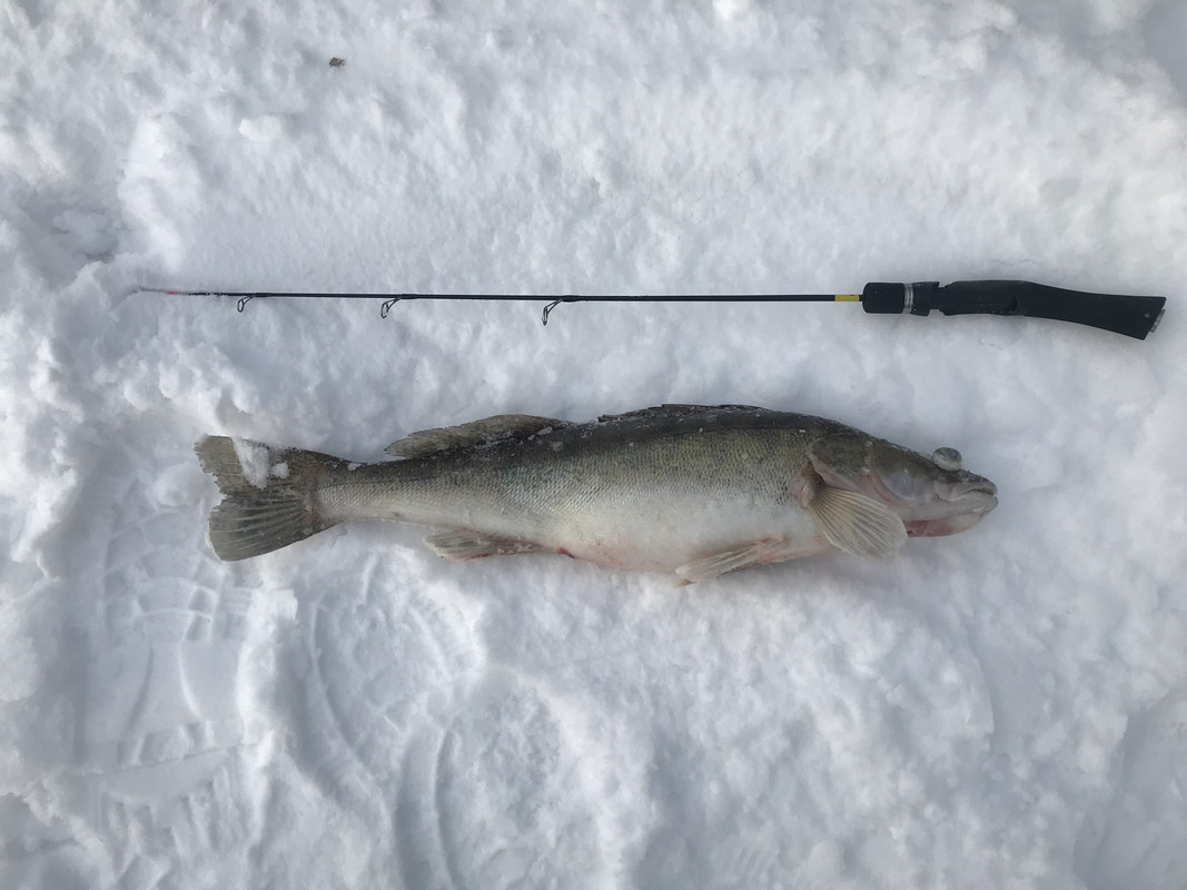 Full Size Render — Postimages