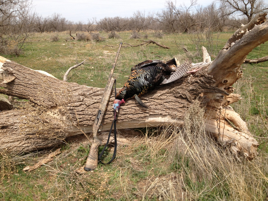 IMG 0381 — Postimages