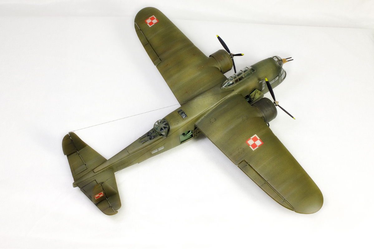 LWS-6 ZUBR - Ready for Inspection - Aircraft - Britmodeller.com