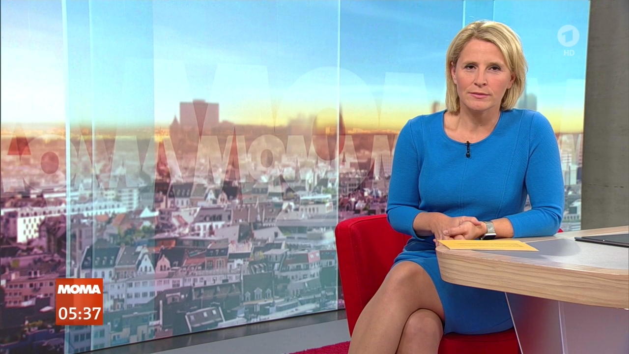 Susan Link ARD Mo Ma 28 09 2020 pp 69 — Postimages