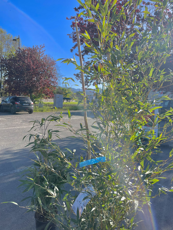 5 E84 AF90 8978 491 D A22 E 9188 B992 A370 — Postimages