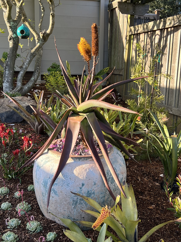 IMG 3458 — Postimages