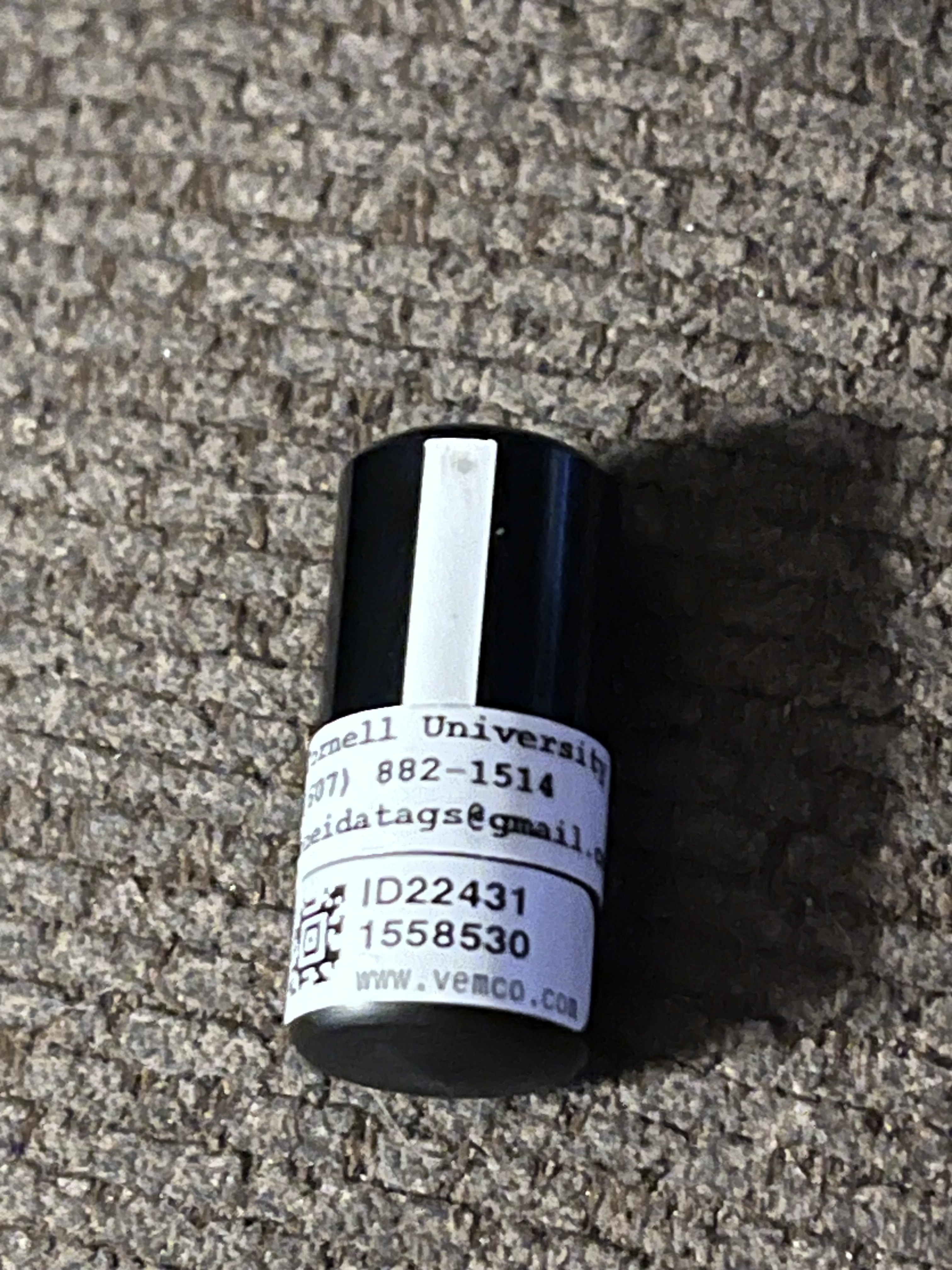 IMG 4086 — Postimages