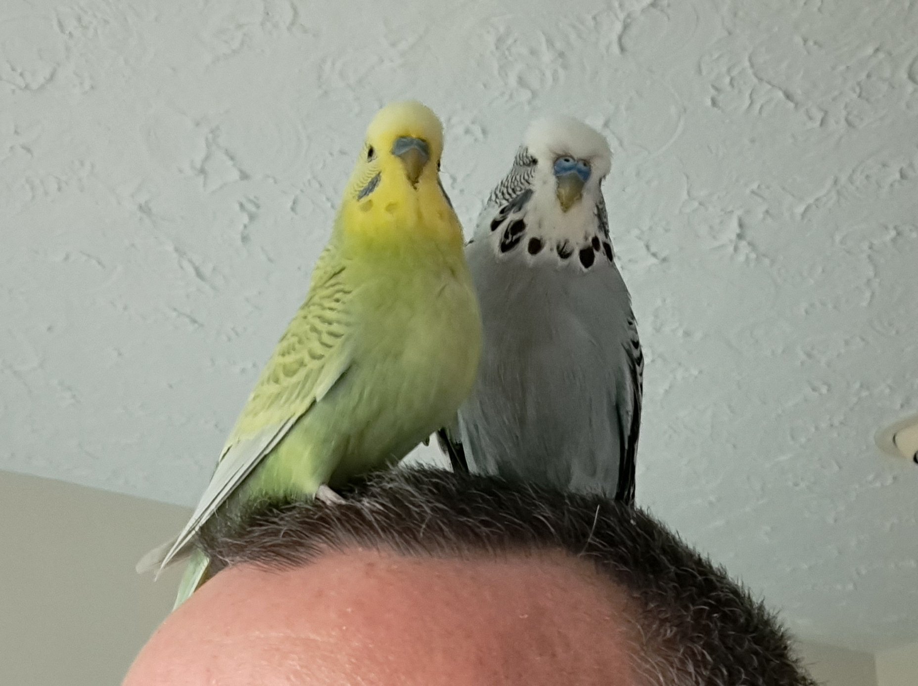 20230406 162616 — Postimages