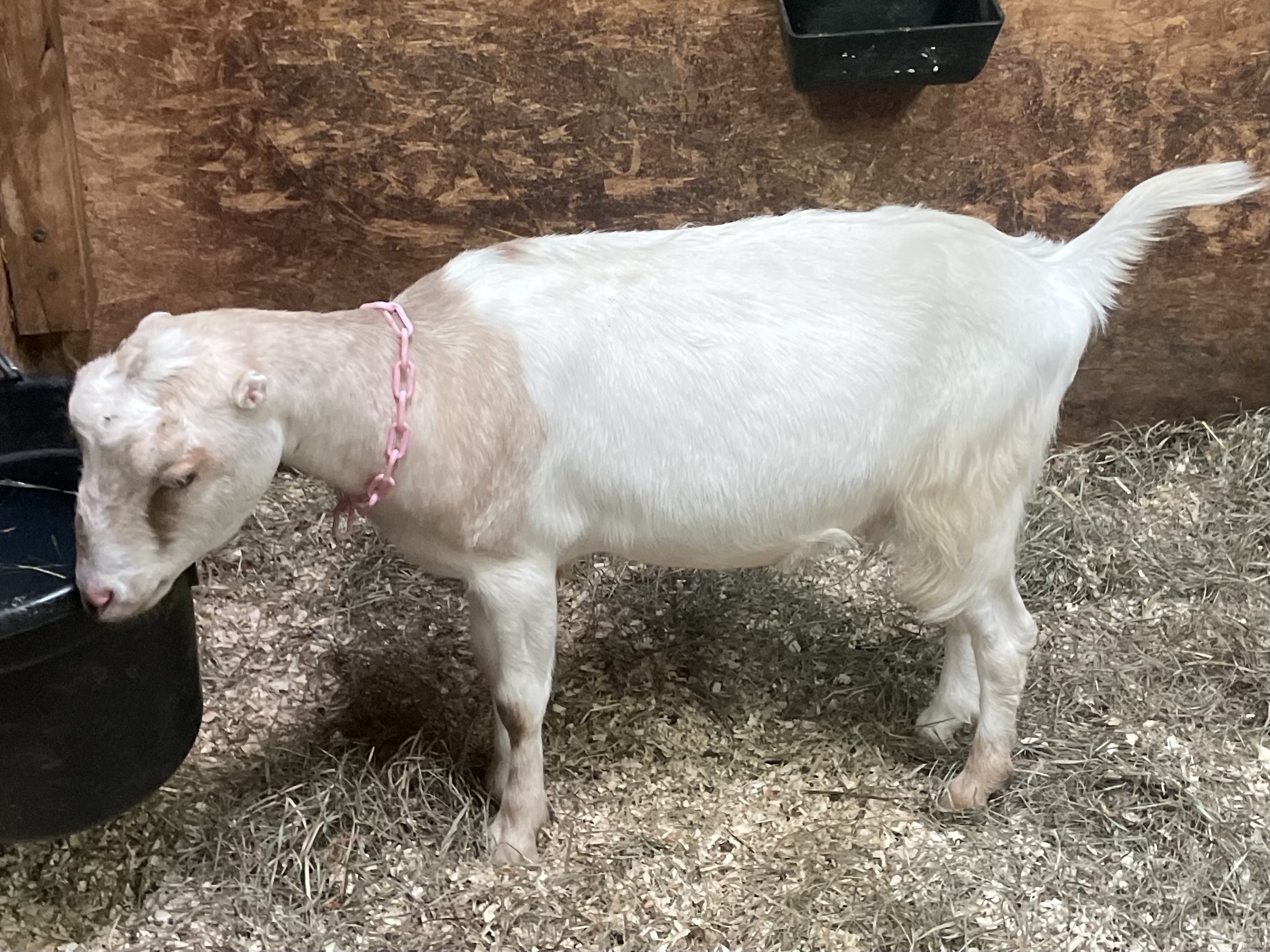 IMG 6067 — Postimages