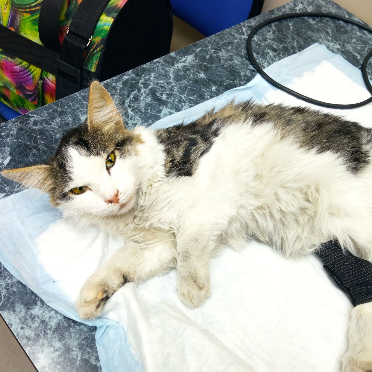 IMG 20220823 004414 447 — Postimages