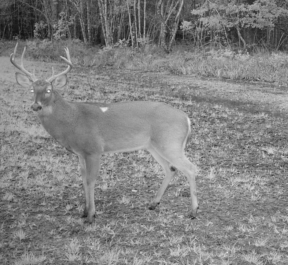 4891 2 — Postimages