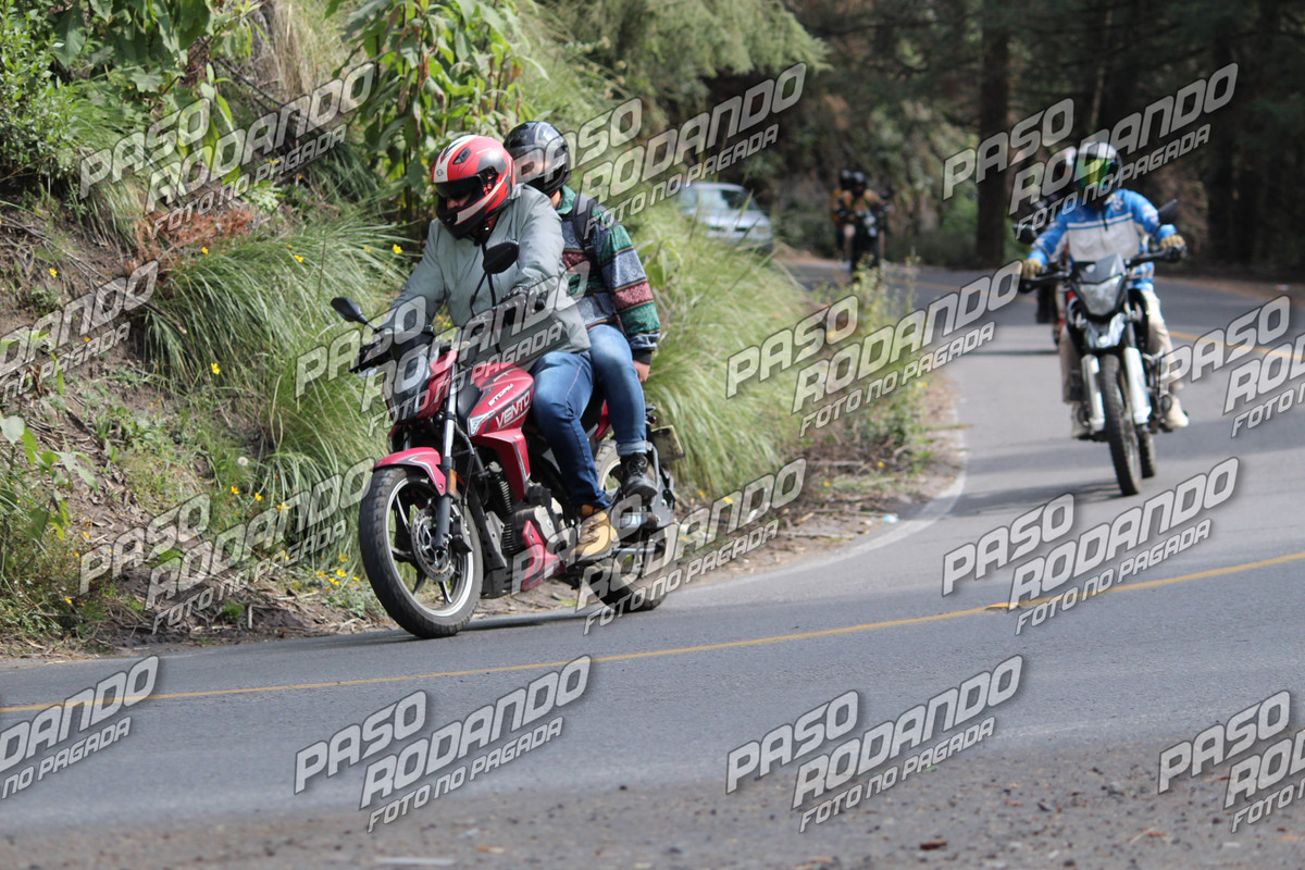IMG 1135 wm 757791 0999999996 watermarked — Postimages