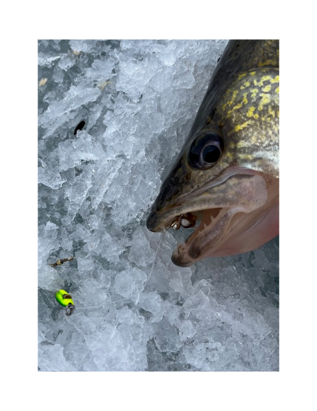 Tiny hook, big fish — Postimages