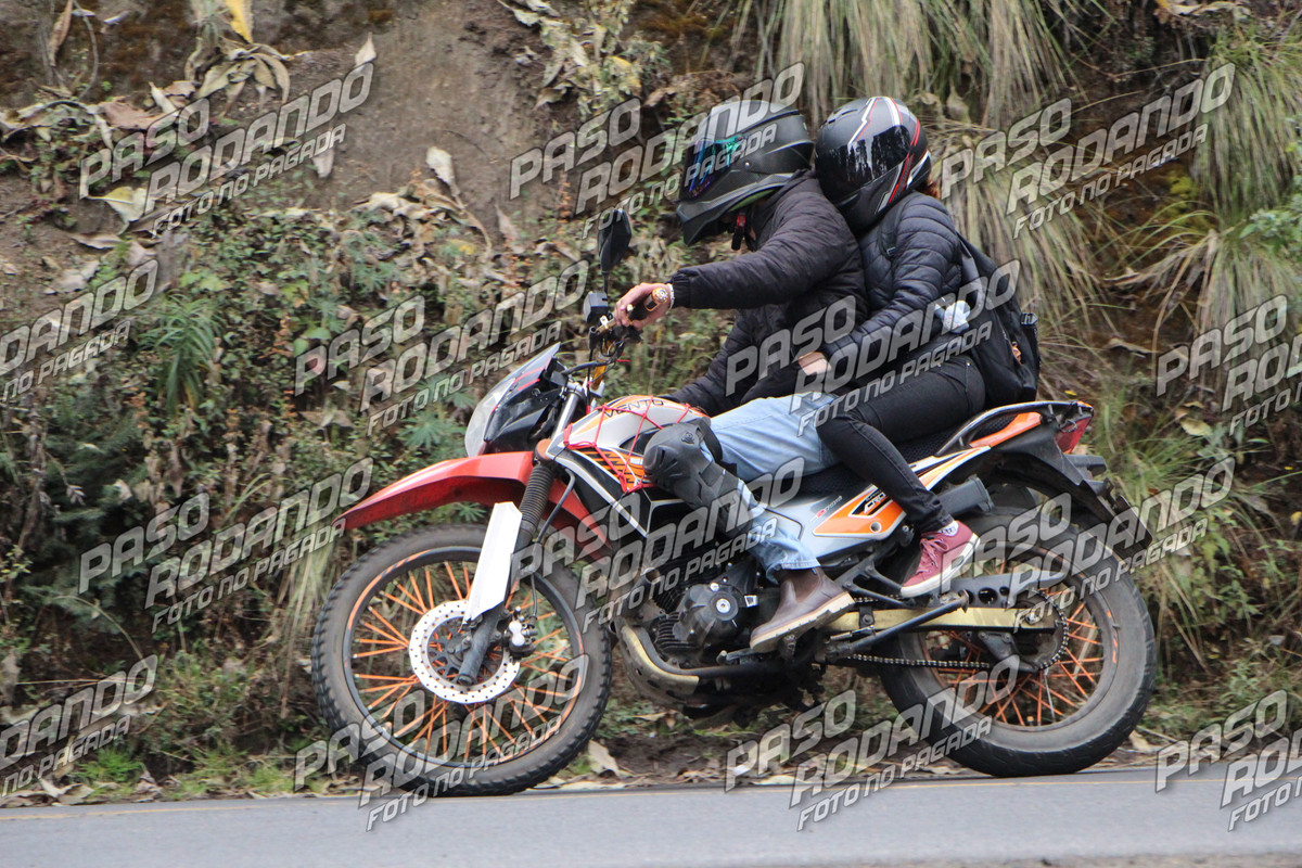 IMG 0479 wm 3620931 7 watermarked — Postimages