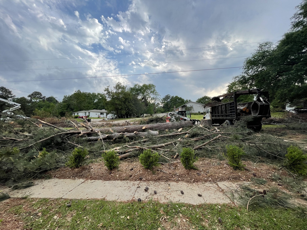 AFF8 B39 A 9 BA2 40 F2 9203 26 A7 CEFE7 EA4 — Postimages