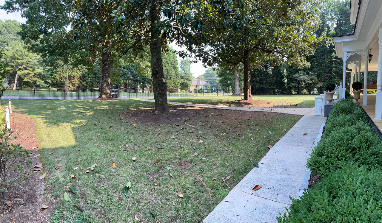 Edging around surface tree roots | Lawn Care Forum