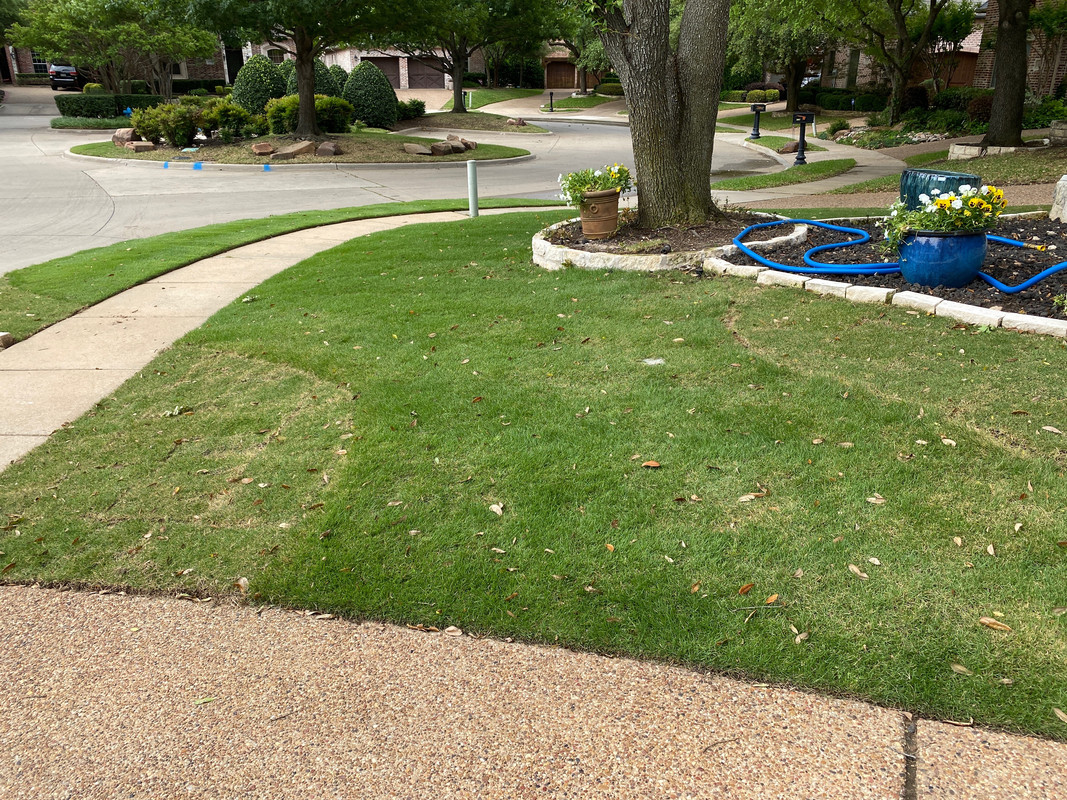 scalped-and-leveled-today-lawn-care-forum