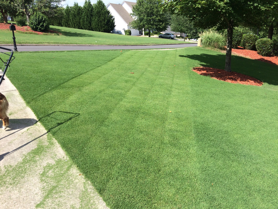 IMG 7323 — Postimages