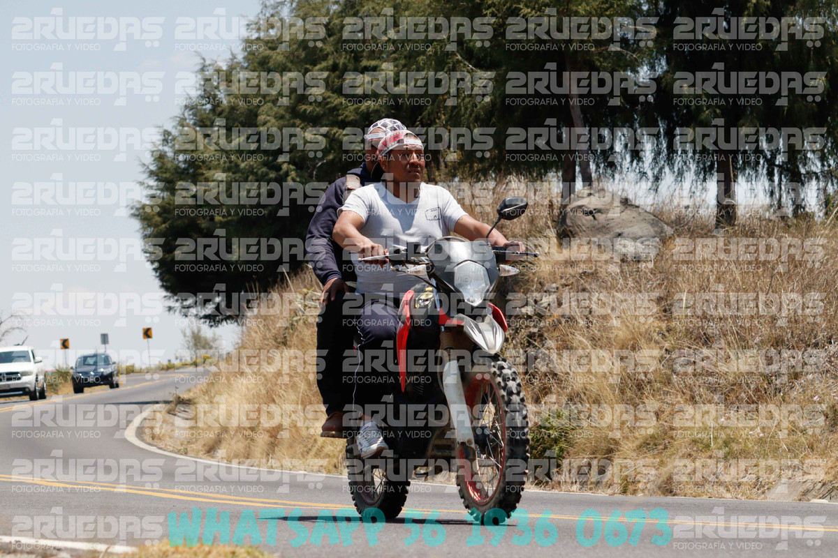 MG 0896 — Postimages