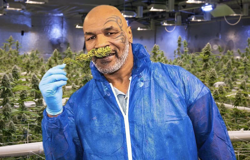 Майк Тайсън: Пуша трева за 40 000 долара на месец — MMA.BG