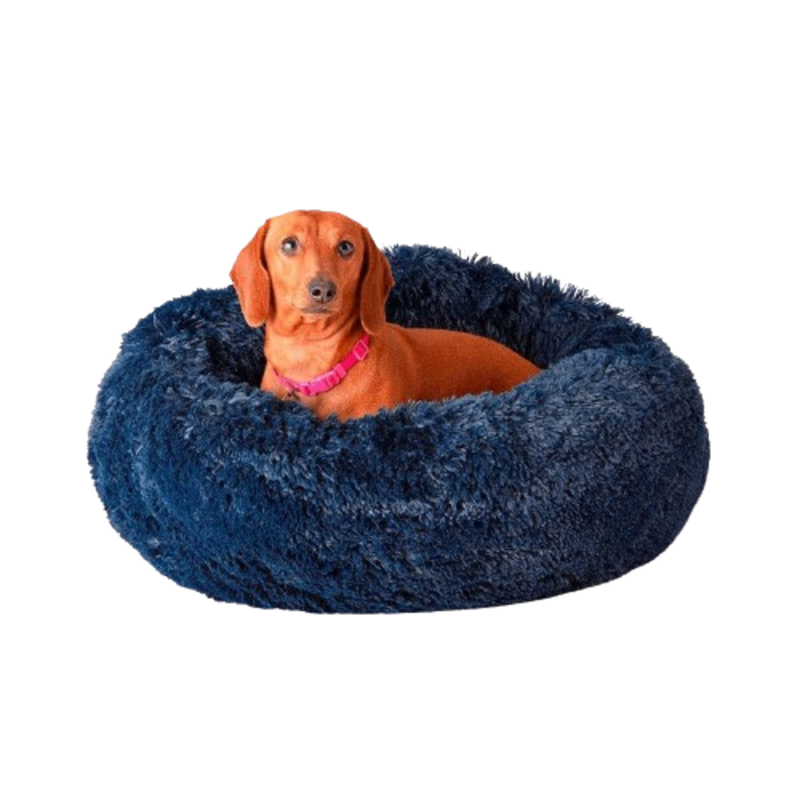 CAMA L PETRO removebg preview (1) — Postimages