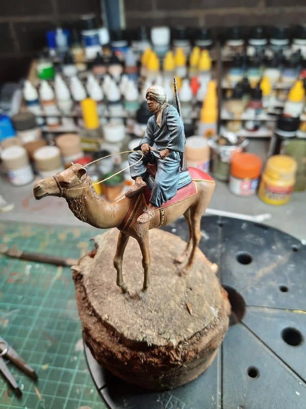 1/35 Camel and rider - Figure Work In Progress - Britmodeller.com