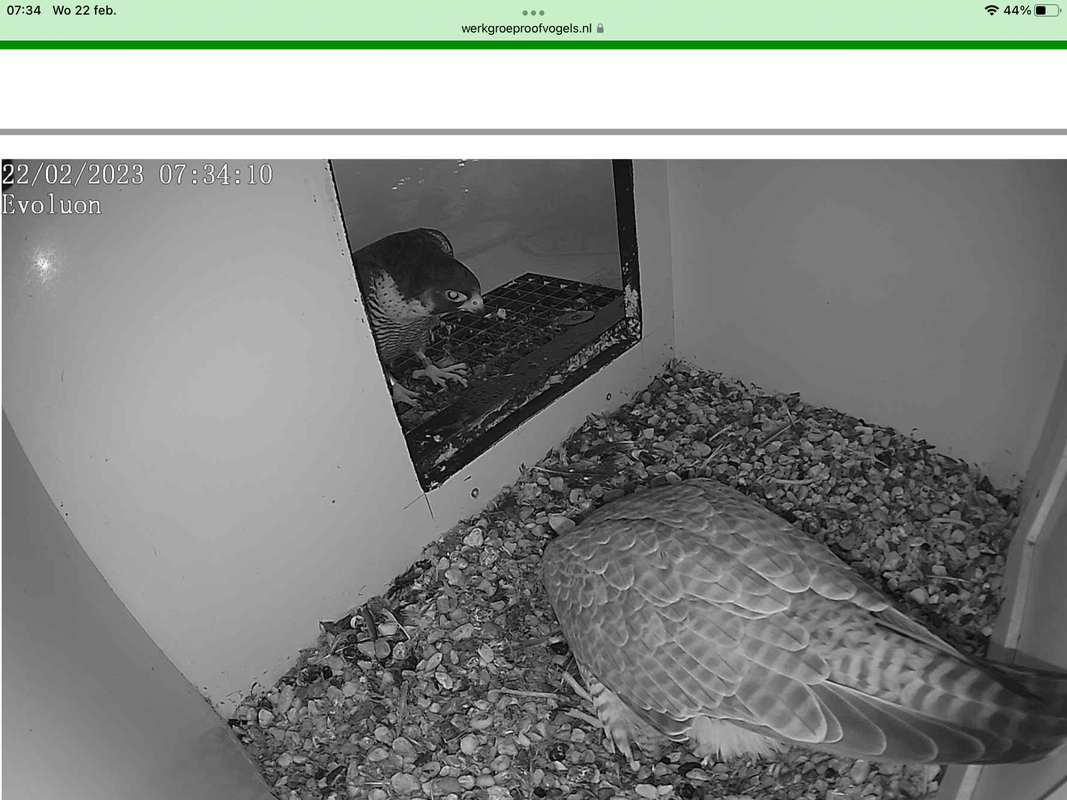 4143 F828 3 CE6 4972 91 EF EF10 B64 C859 C — Postimages