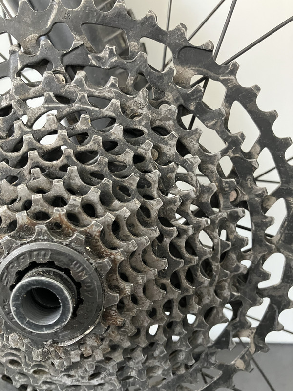 IMG 4373 — Postimages