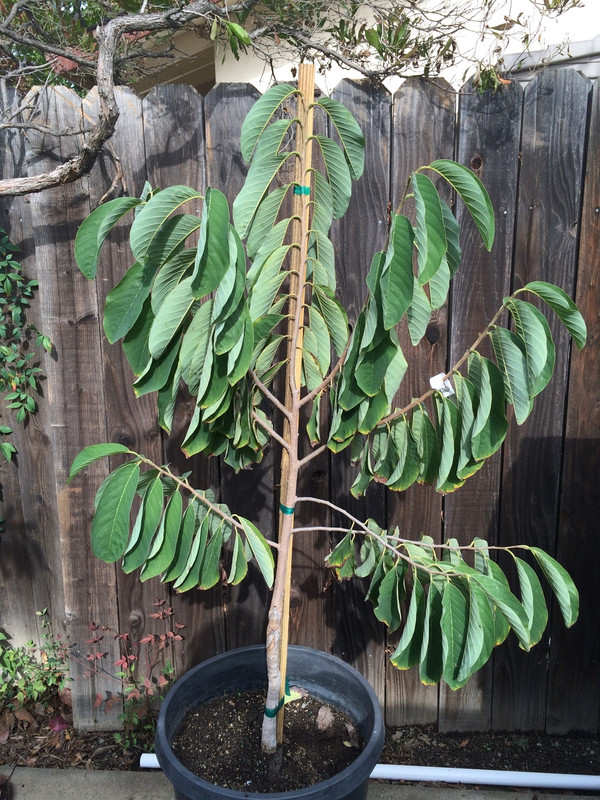 IMG 6328 — Postimages