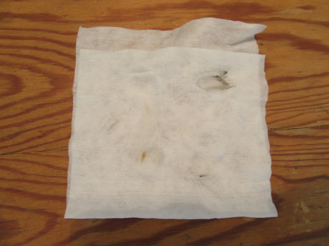 IMG 2242 — Postimages