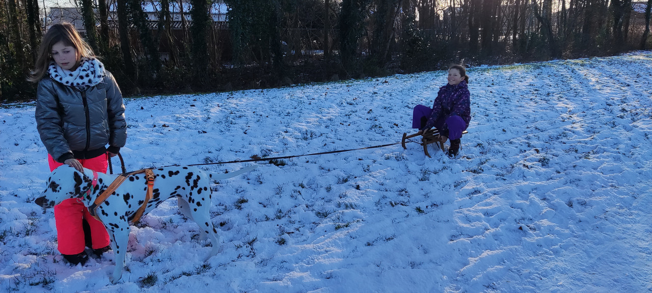 IMG 20240119 150627 — Postimages