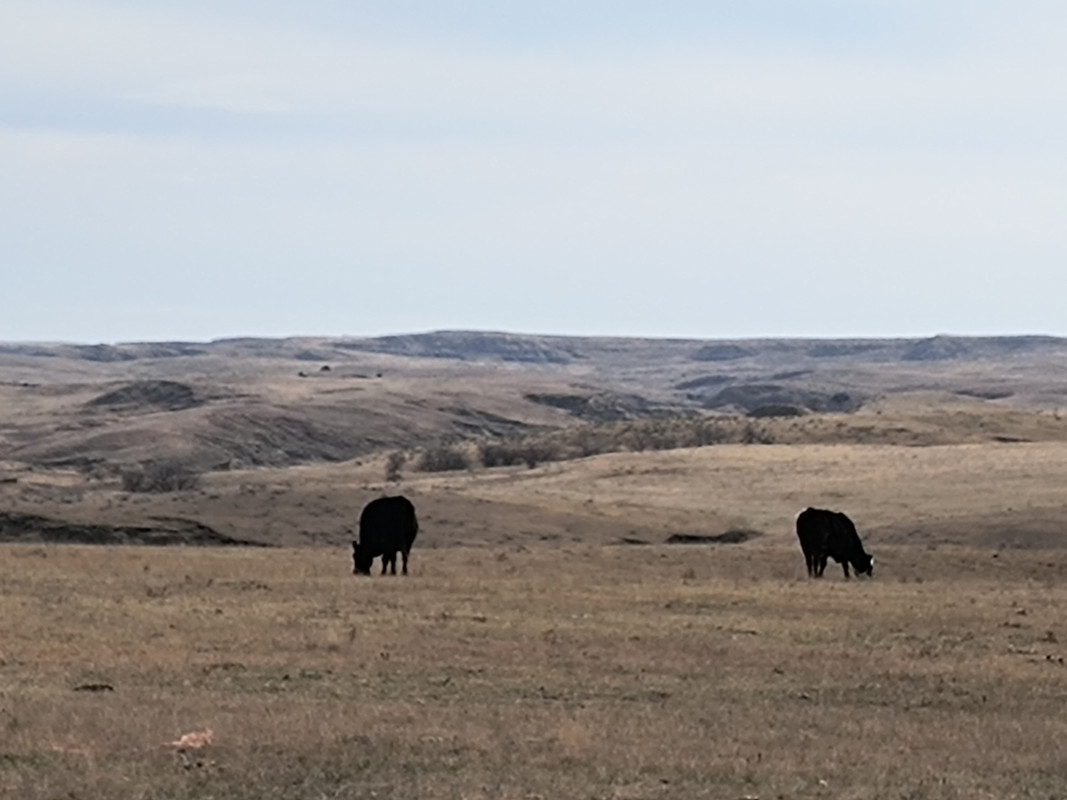 IMG 20231119 121350371 — Postimages